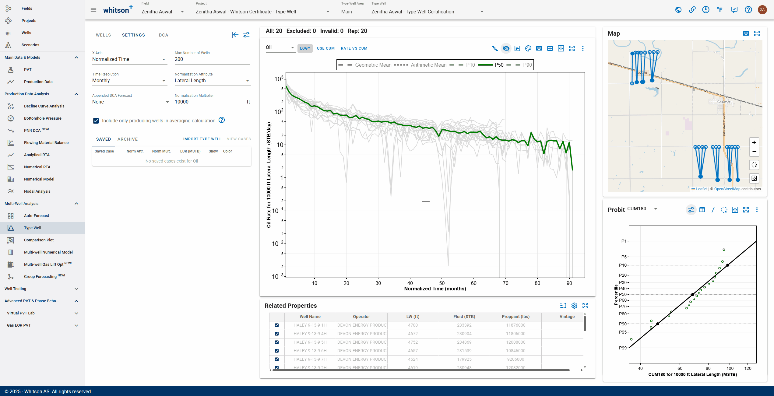 Type Well - whitson⁺ - User Manual